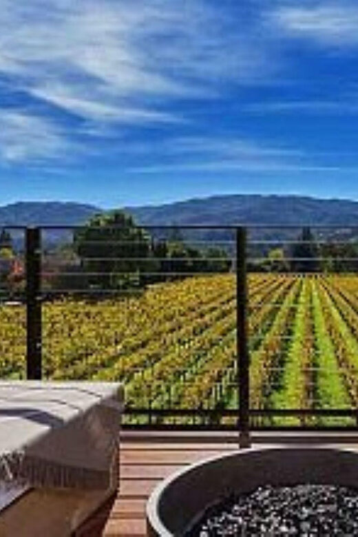 Napa: DeLoach Vineyards Private Wine Tour and Tasting - The Practical Details You Need to Know