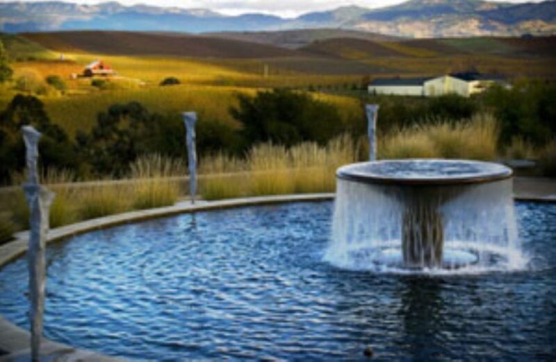 Napa: DeLoach Vineyards Private Wine Tour and Tasting - Authenticity and Real-World Insights from Reviews