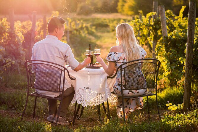 Napa or Sonoma Private Wine Tour from San Francisco - What to Expect at the Wineries
