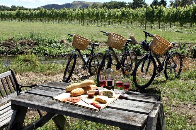 Napa or Sonoma Private Wine Tour from San Francisco - Who Is This Tour Best For?