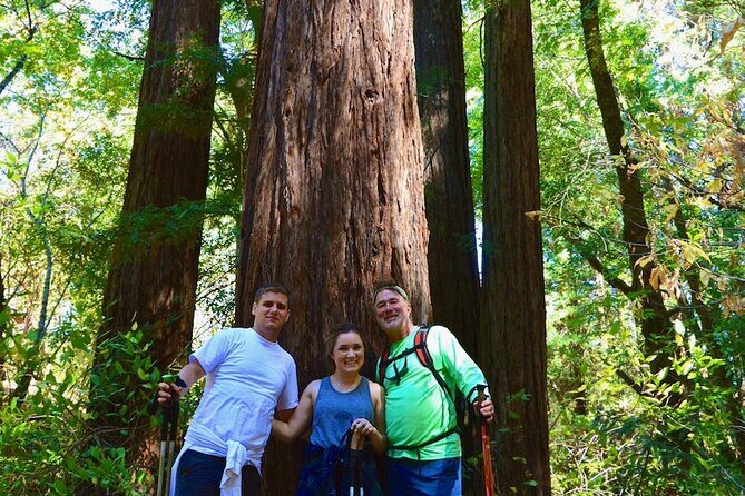 Napa Private Hike and Wine Tour - Exploring the Itinerary: What to Expect from Start to Finish