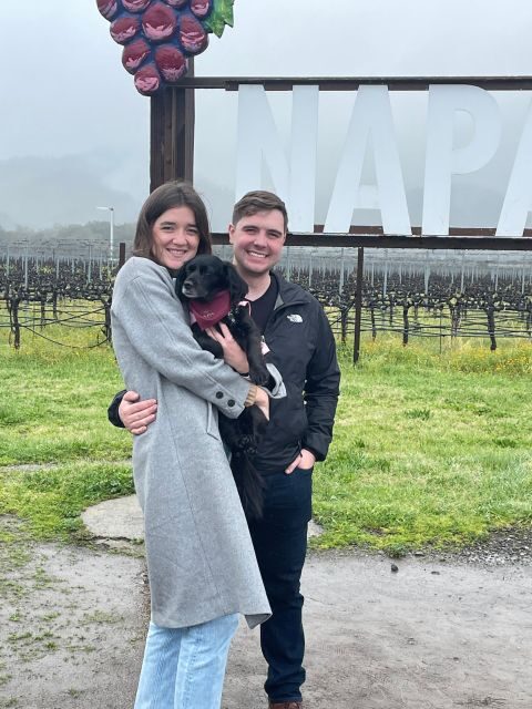 Napa/Sonoma: Full-Day Private Wine Tour for up to 14 Guests - Key Points: