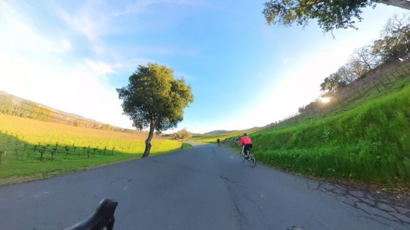Napa/Sonoma: Guided Tour for Cycling Enthusiasts - Key Points
