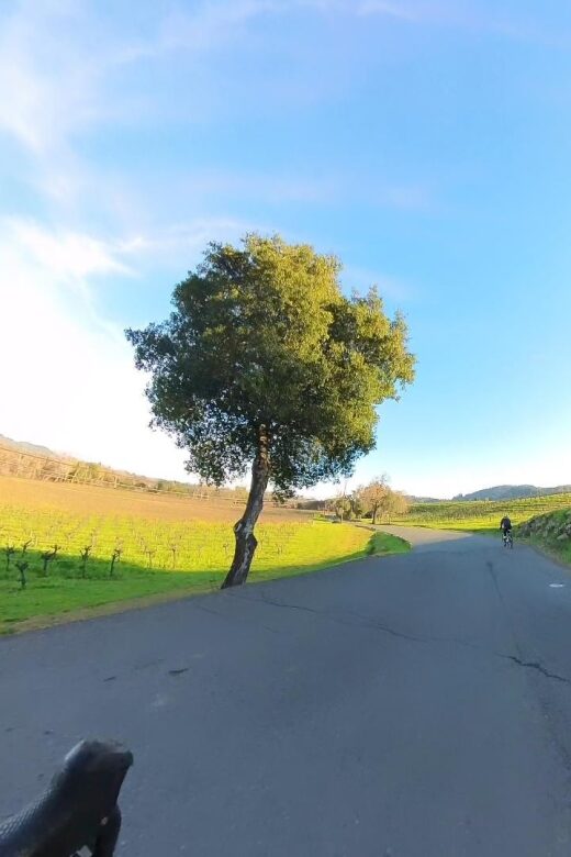 Napa/Sonoma: Guided Tour for Cycling Enthusiasts - Authentic Insights from Tour Participants