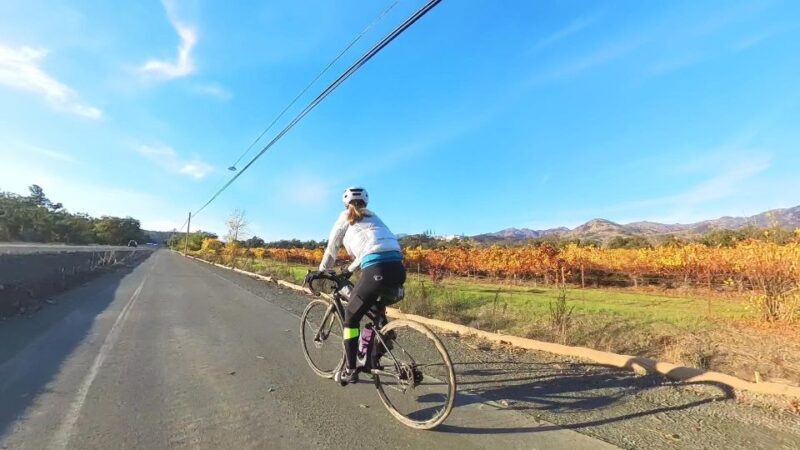 Napa/Sonoma: Guided Tour for Cycling Enthusiasts - Who Will Love This Tour?