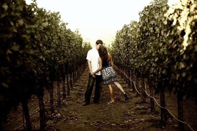 Napa - Sonoma Limo up to 9 passengers - The Experience: What You Can Expect