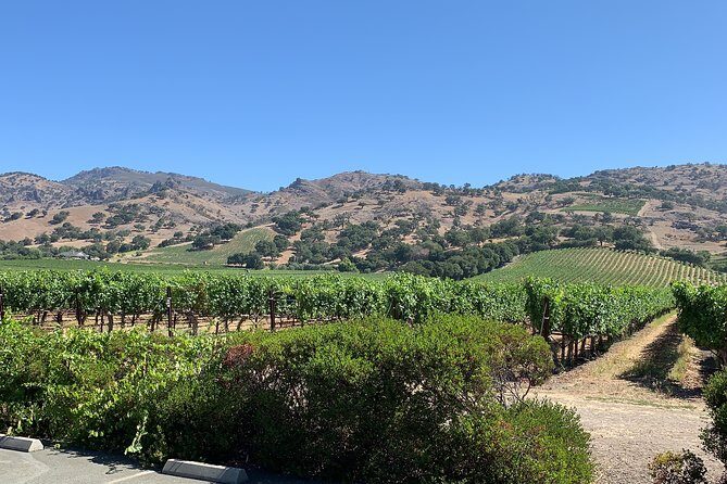 Napa & Sonoma Wine Tour | 6-8hr Private Fully Customized.*XL SUV - Why Travelers Love This Tour