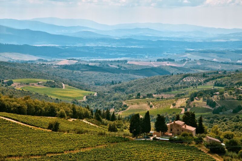 Napa Valley: Airplane Napa Valley Tour - The Experience Breakdown: What to Expect