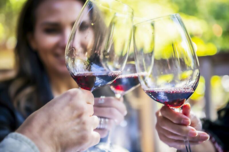 Napa Valley: Guided Wine Tour with Picnic Lunch - Key Points