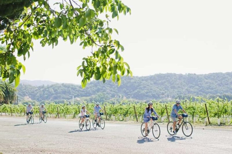 Napa Valley: Guided Winery E-Bike Tour - An In-Depth Look at the Napa Valley E-Bike Tour
