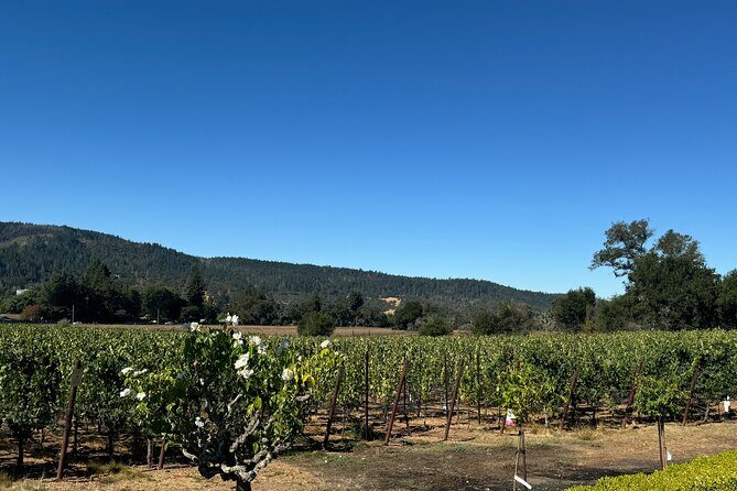 Napa Valley Luxury Wine Tours & Car Services - Final Thoughts