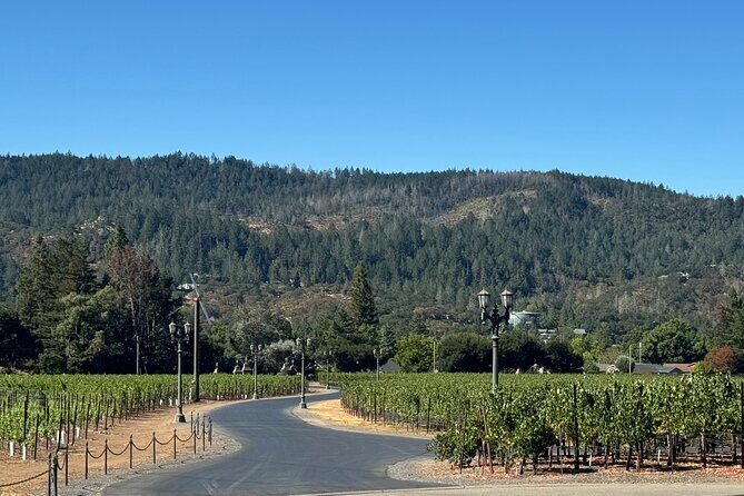Napa Valley Luxury Wine Tours & Car Services - FAQs