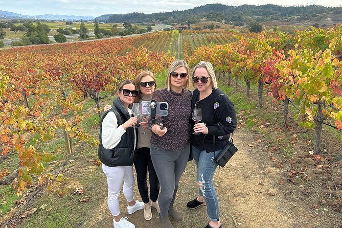 Napa Valley Mountainside Small Group Winery Tour - Is It Worth the Price?