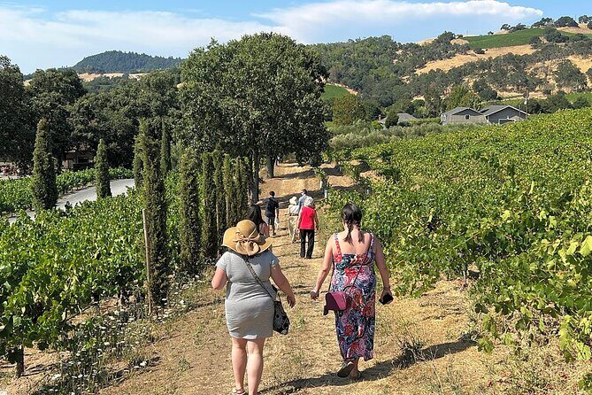 Napa Valley Mountainside Small Group Winery Tour - Who Is This Tour Best For?