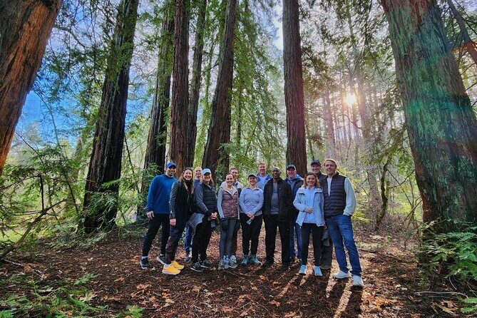 Napa Valley Redwood Hike - Exploring the Napa Valley Redwood Hike: A Detailed Review