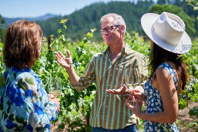 Napa Valley Wine Safari Tour Explore Wine Country's Hidden Gems - Final Thoughts: Is It Worth It?