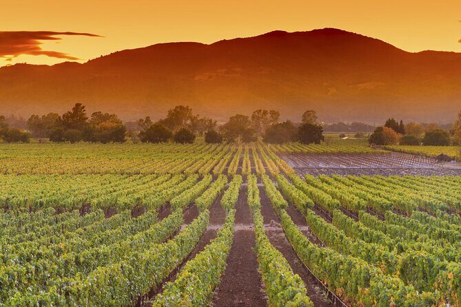 Napa Valley Wine Safari Tour Explore Wine Country's Hidden Gems - FAQs