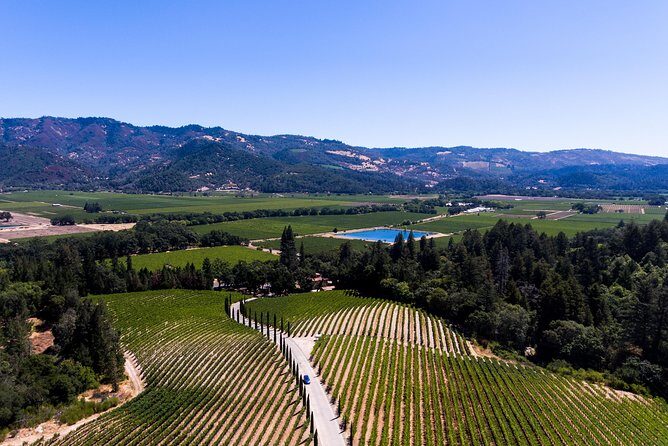 Napa Valley's Best Wine Tour w/ Local Expert - What’s Included and What’s Not