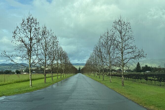 Napa Wine Tours - Deep Dive into the Experience: What to Expect