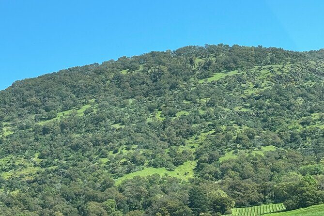 Napa Wine Tours - FAQ