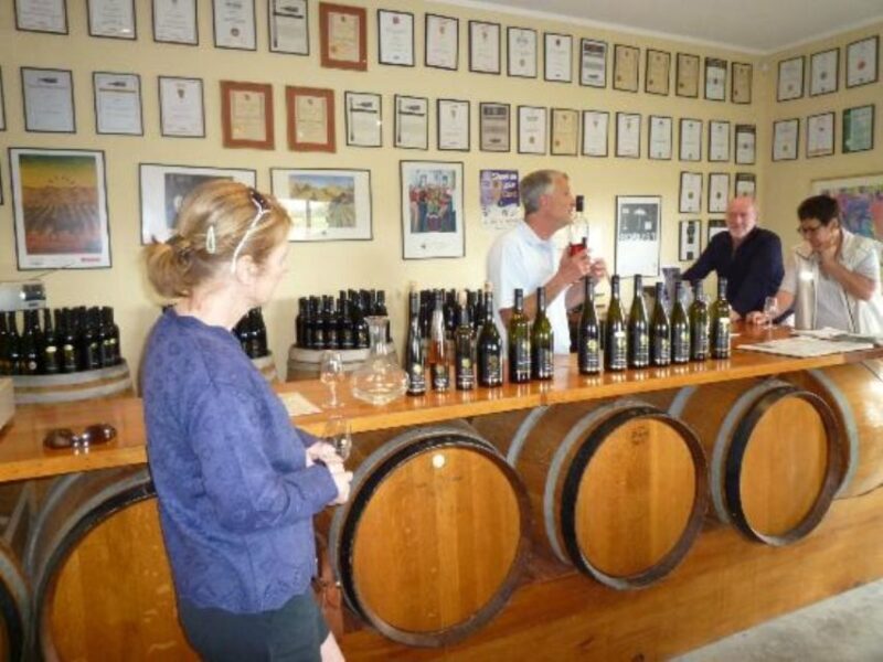 Napier: Afternoon Winery & Gin Tasting Tour Thu Fri Sat - Who Will Enjoy This Tour?