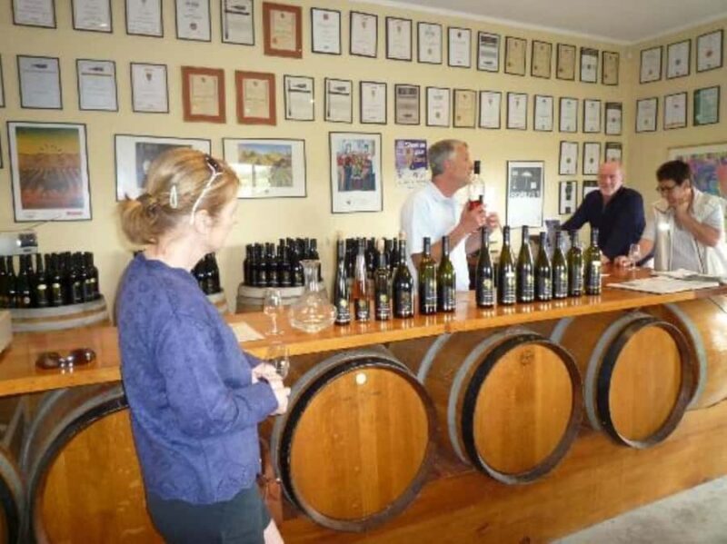 Napier: Afternoon Winery Tour Tasting at 3 Great Wineries - Authenticity and Overall Experience