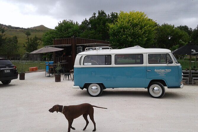 Napier and Hawkes Bay Scenic and Art Deco Tour by VW Kombi - Detailed Review of What This Tour Offers