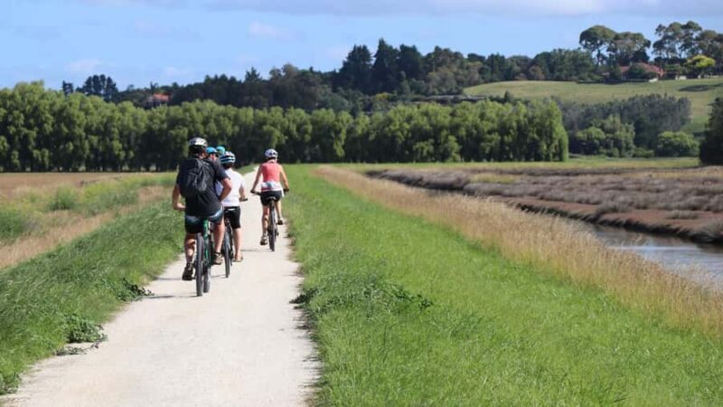 Napier: Art Deco Bike Ride and Wineries Loop - Key Points