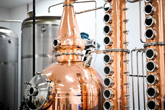 Napier Art Deco & Distillery Tour with Tastings - The Sum Up: Who’s This Tour For?