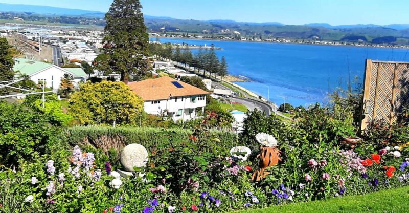 Napier: Art-Deco + Te Mata Peak+ Garden Walk + Wine Tasting - Final Destination: Napier Downtown or Return to the Ship