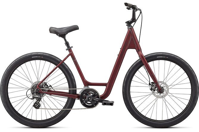 Napier Bike Hire - Key Points