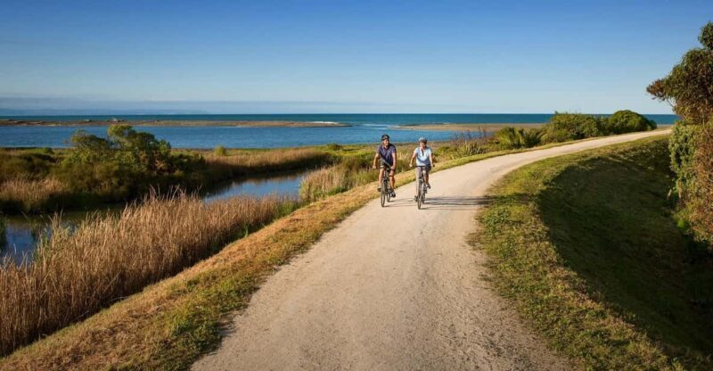Napier: Cape Coast Winery Tour on Pedal or E-Bikes - The Itinerary in Detail