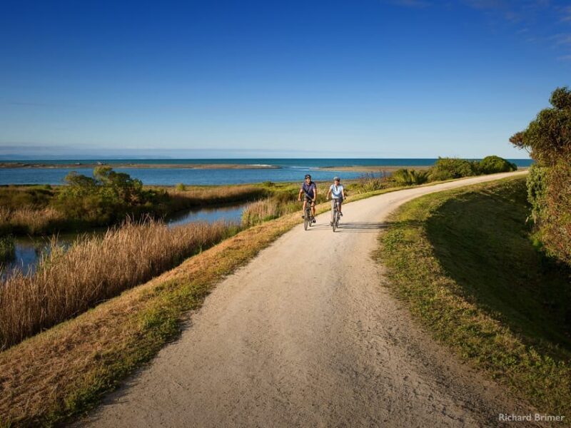 Napier: Cape Coast Winery Tour on Pedal or E-Bikes - Why We Recommend It
