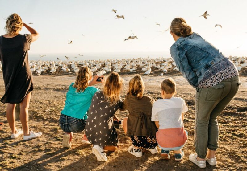 Napier: Cape Kidnappers Gannet, Nature & Sightseeing Tour - A Closer Look at the Tour Itinerary