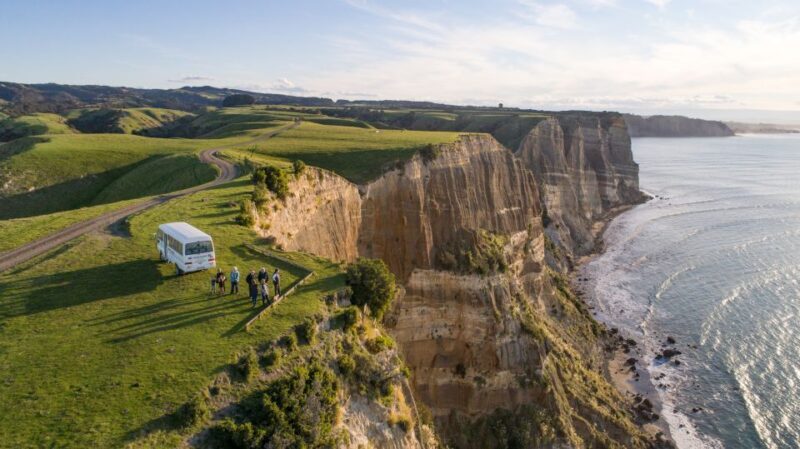 Napier: Cape Kidnappers Gannet, Nature & Sightseeing Tour - Final Words