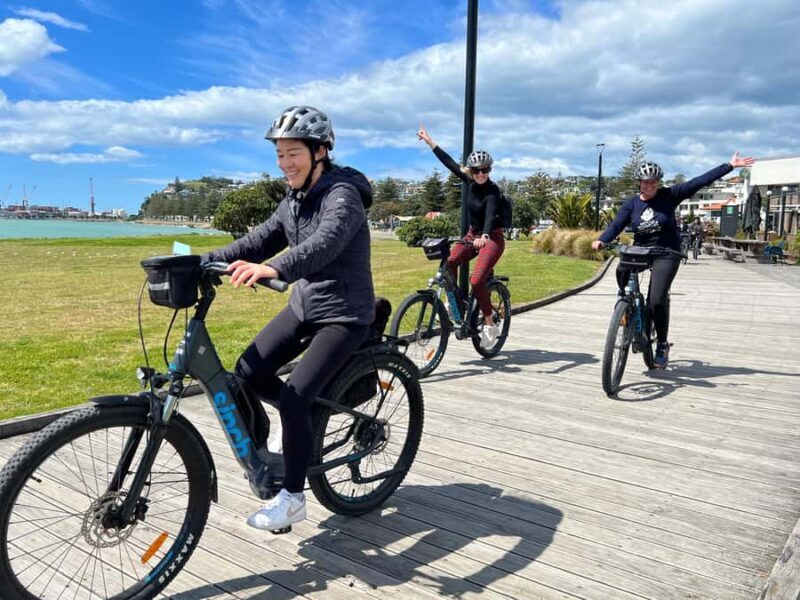 Napier: Cruise Self-Guided Cycle Ride to Winery - Half Day - The Experience in Detail