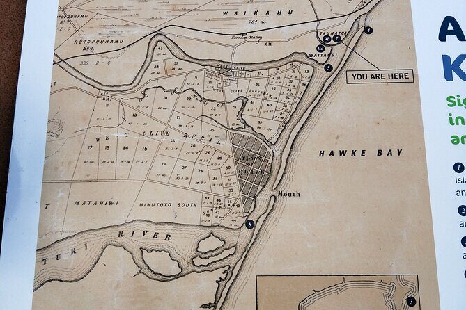 Napier Discovery Tour - What You Won’t Get (and Why It Matters)