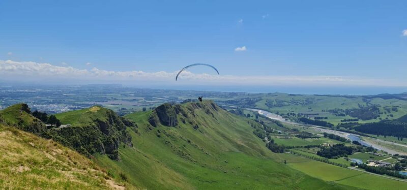 Napier: Highlights & Tour Exploring the Best of this Region - Scenic Drive Through Hawkes Bay’s Orchards and Vineyards