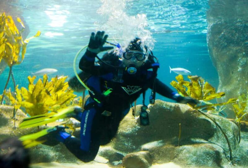 Napier: National Aquarium of New Zealand General Admission - The Sum Up