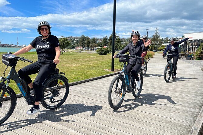 Napier: Shore Excursion Cycle Winery Tour - Half Day, self-guided - Introduction
