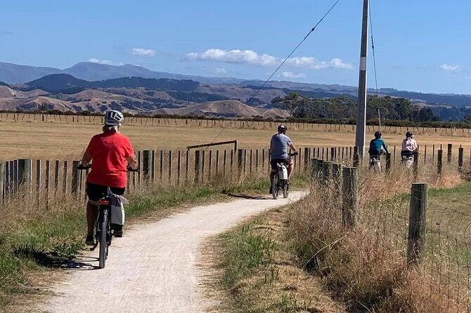 Napier: Shore Excursion Cycle Winery Tour - Half Day, self-guided - Authentic Experiences and Customer Feedback