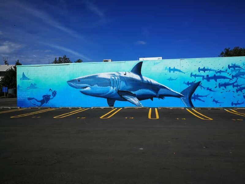 Napier: Shore Excursion with Wine Tasting and Platter - Key Points