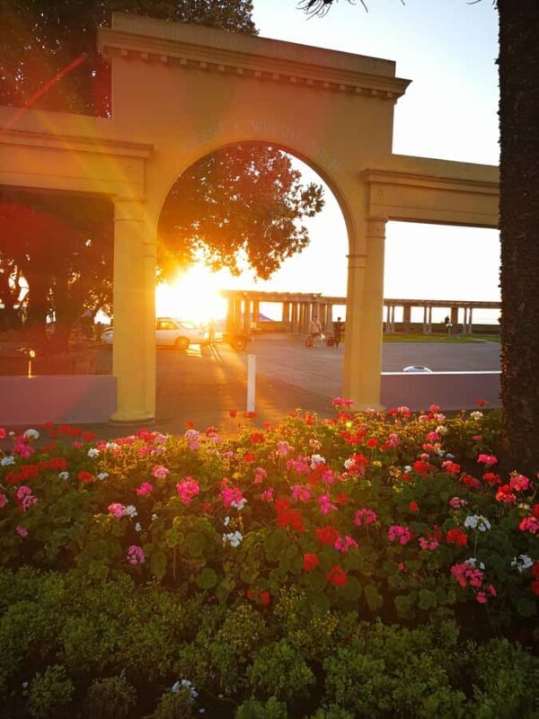 Napier: Shore Excursion with Wine Tasting and Platter - Introduction: A Well-Rounded Taste of Napier