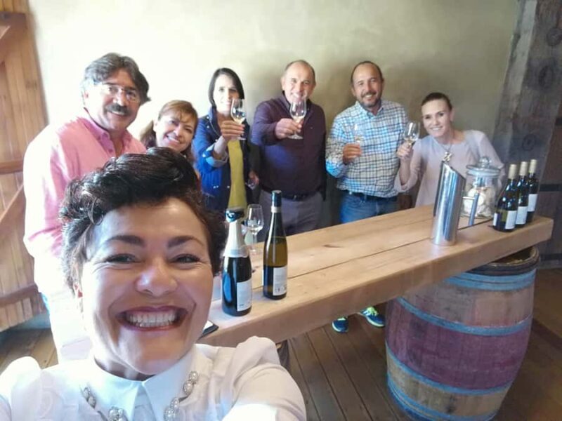 Napier: Shore Excursion with Wine Tasting and Platter - Panoramic Views from Bluff Hill and Other Lookouts