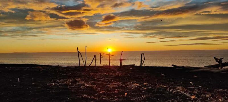 Napier: Shore Excursion with Wine Tasting and Platter - Who Will Love This Tour?