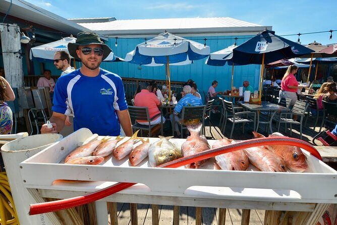 Naples 6 hour Split Charter - Final Thoughts: Is this the trip for you?