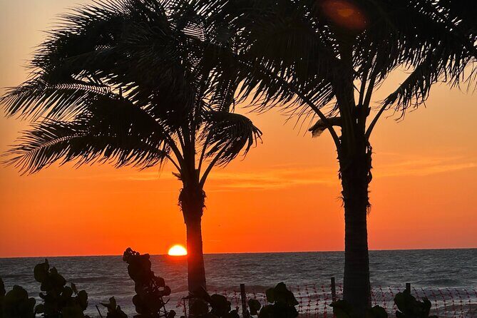 Naples Famous Sunset Tour -Electric Trike Tour at Sunset All Ages - Who Will Love This Tour?