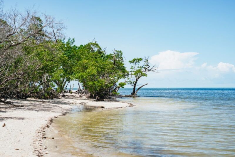 Naples, FL: Manatee, Dolphin, 10,000 Islands Beach Eco Tour - FAQ