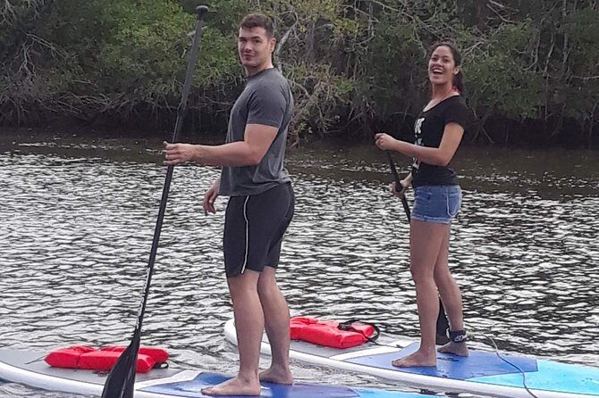 Naples Fl, Paddleboard Mangrove Forest Tour - The Equipment & Comfort Level