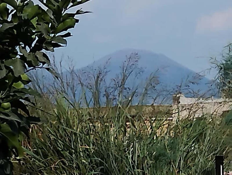 Naples: "fried pizza" workshop and tasting in front of Vesuvius - Who It’s Best For